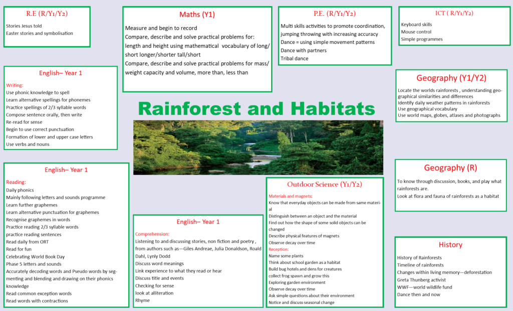 KS1 Spring Term Jan 2020 second half Rainforest and habitats - Lowca ...