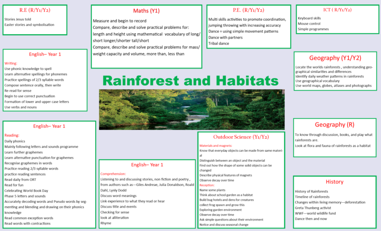 KS1 Spring Term Jan 2020 second half Rainforest and habitats - Lowca ...